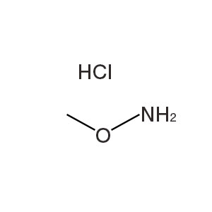593-56-6 | 株式会社信浩コーポレーション